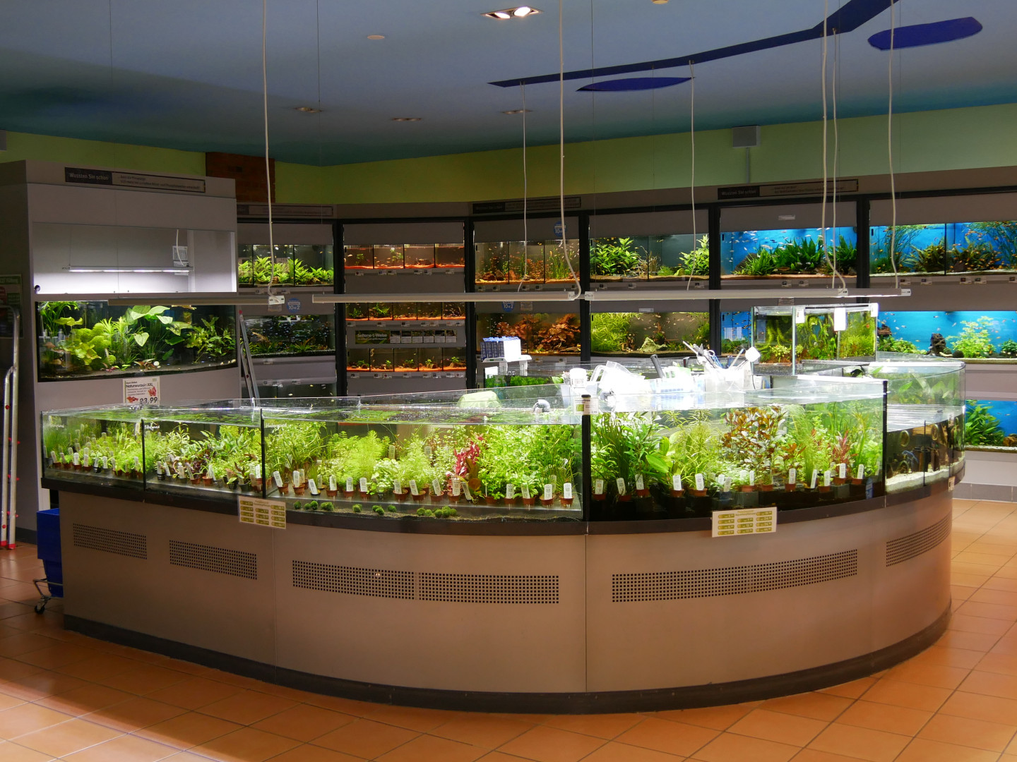 Neuer Megazoo kommt nach Hamburg-Os... - pet-online