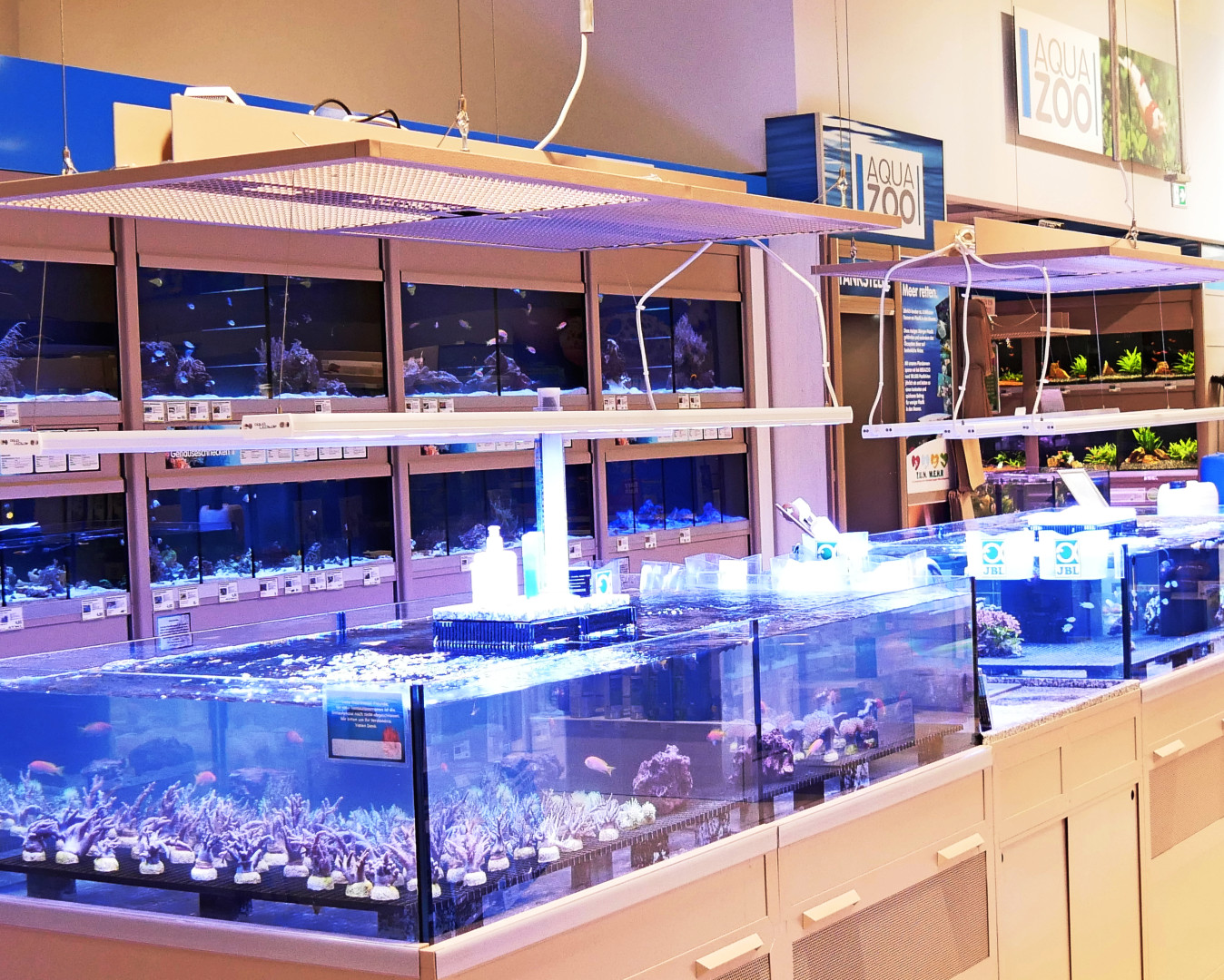 Megazoo baut Position in Hamburg au... - pet-online