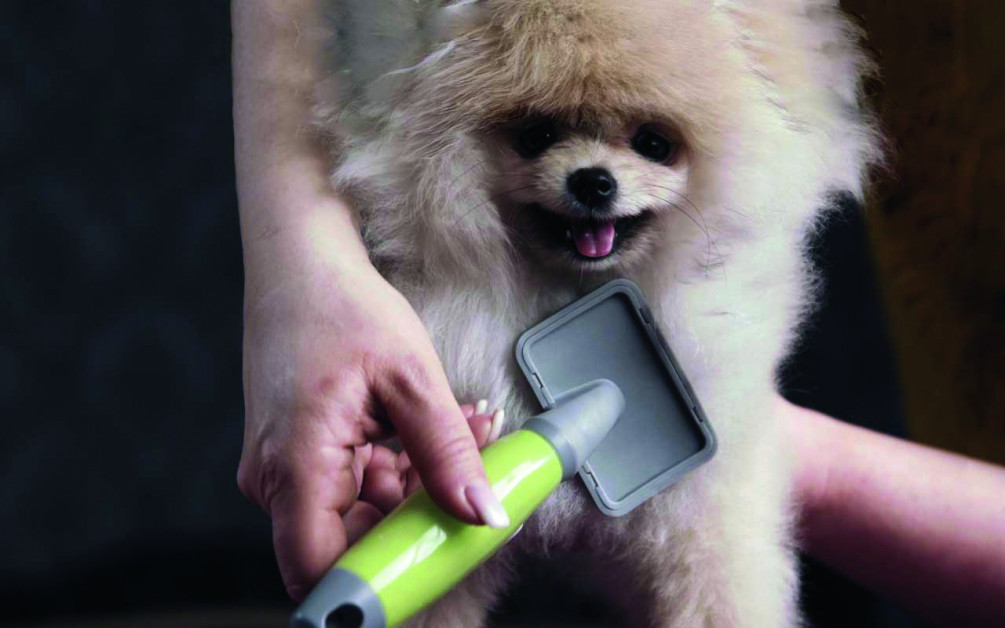 MOSER Animal erhält neues Design zu... - pet-online