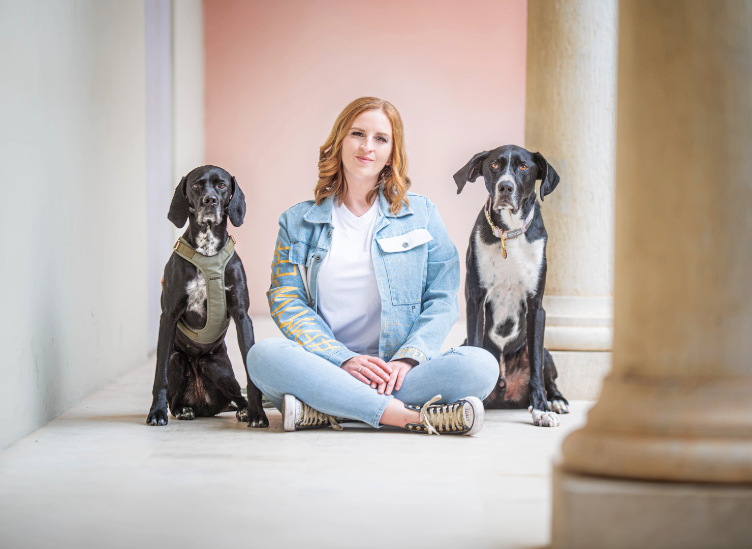 „Ein Ankerzentrum für alle Tierbesi... - pet-online