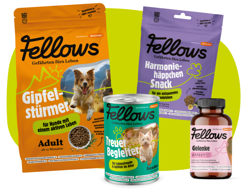 Fellows - pet-online