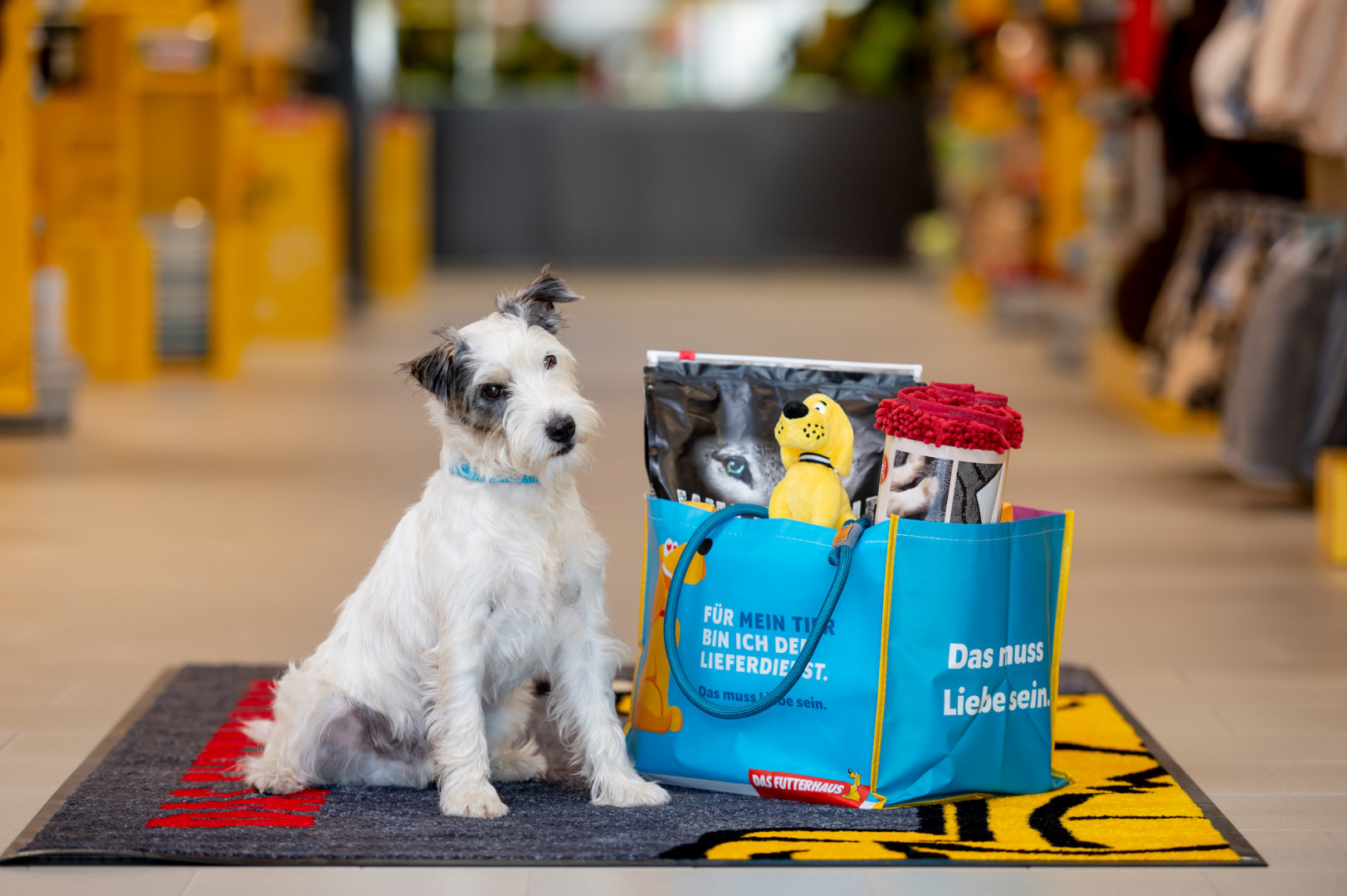 Das Futterhaus Österreich eröffnet ... - pet-online