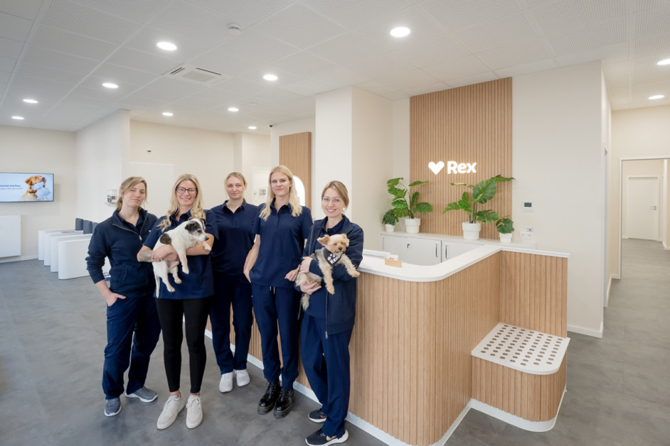 Das Start-up expandiert nach Stuttg... - pet-online