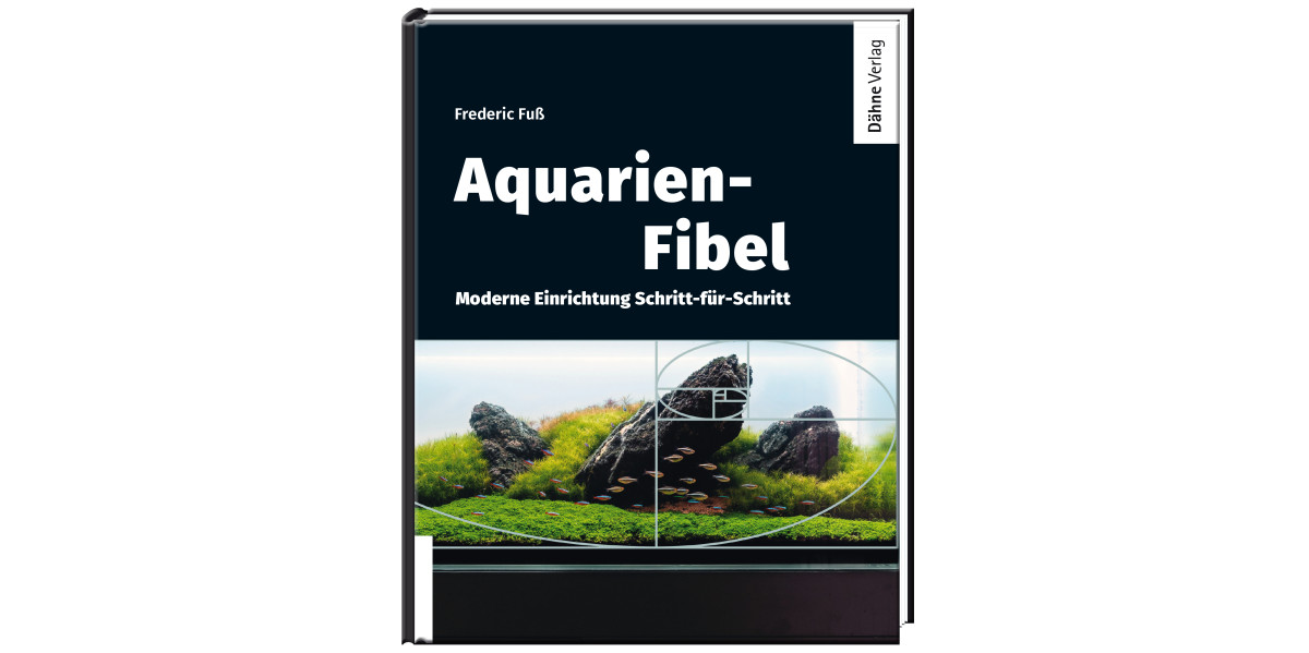 Aquarien-Fibel – Moderne Einrichtun... - pet-online