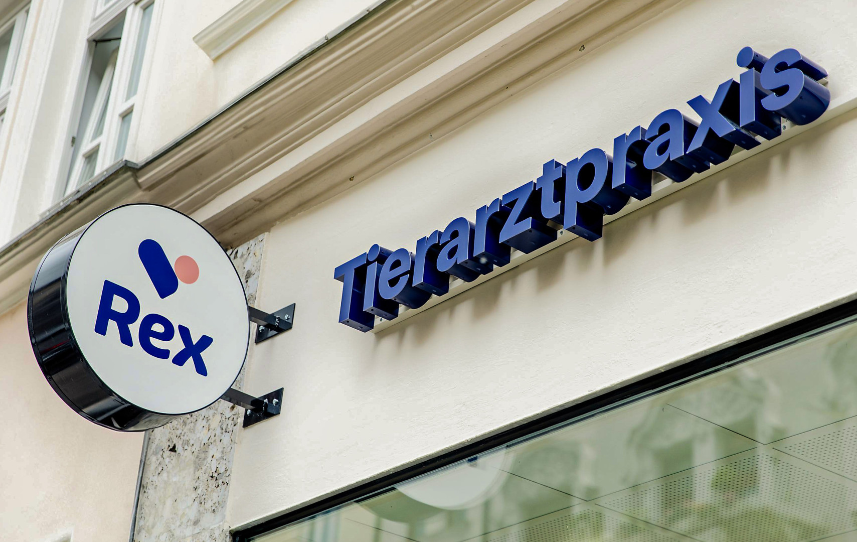 Digitale Praxis Rex eröffnet in Köl... - pet-online