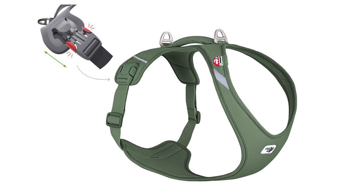 The All New curli Belka Harness - pet-online
