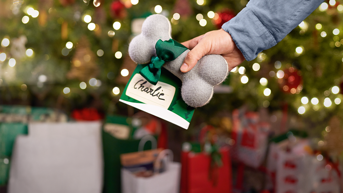 Weihnachtsgeschenke fürs Haustier - pet-online