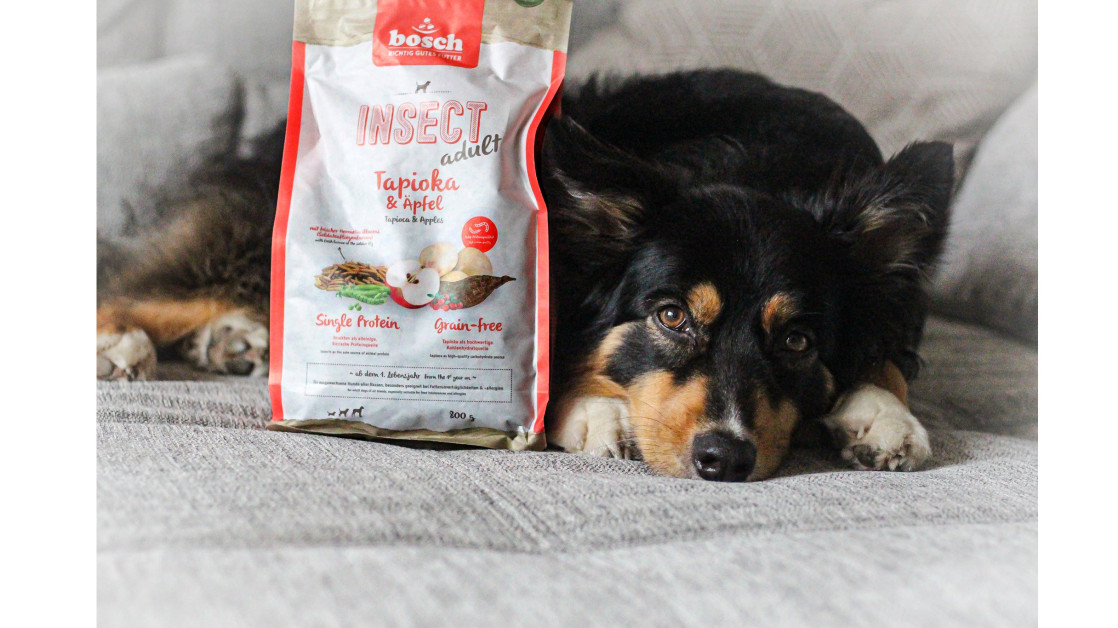 Ausgezeichnetes Hundefutter mit Ins... - pet-online