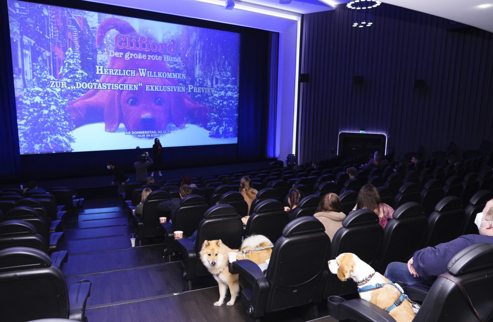Kino-Premiere mit Petfluencern - pet-online