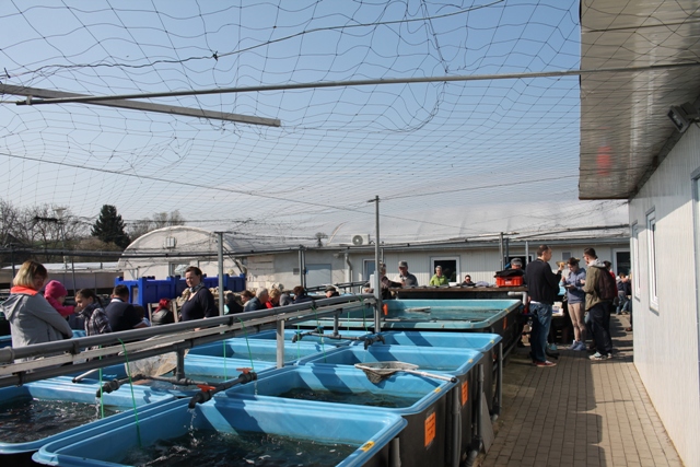 30 Jahre NK Tropical Fish - pet-online