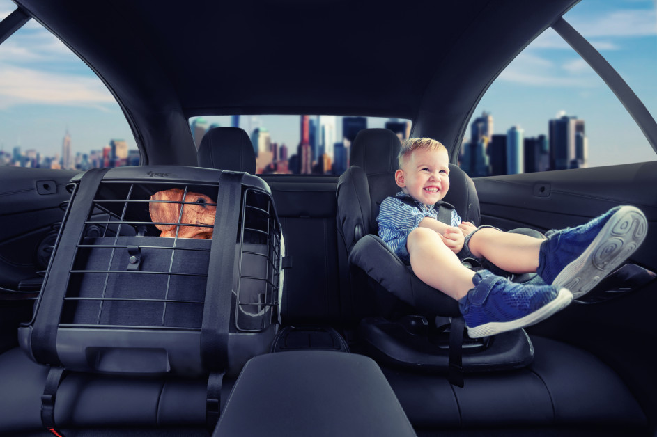 4pets-"Caree" - Safety first - pet-online