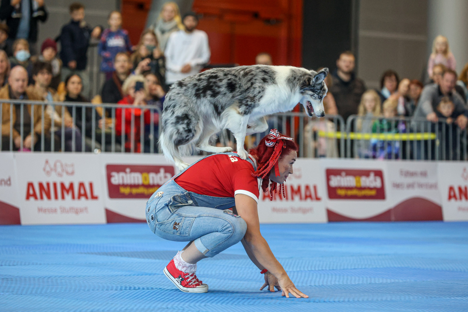 Animal beim Stuttgarter Messe-Herbs... - pet-online