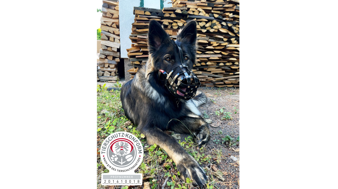 Maulkorb war gestern, Colori ist he... - pet-online