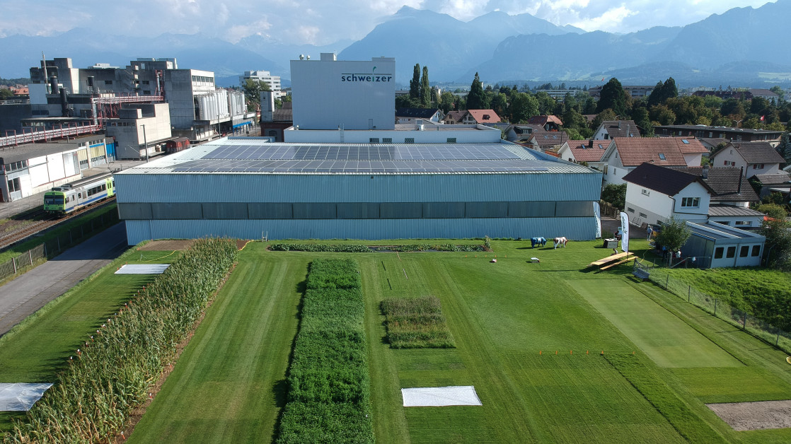 Eric Schweizer übernimmt Pflegebürs... - pet-online