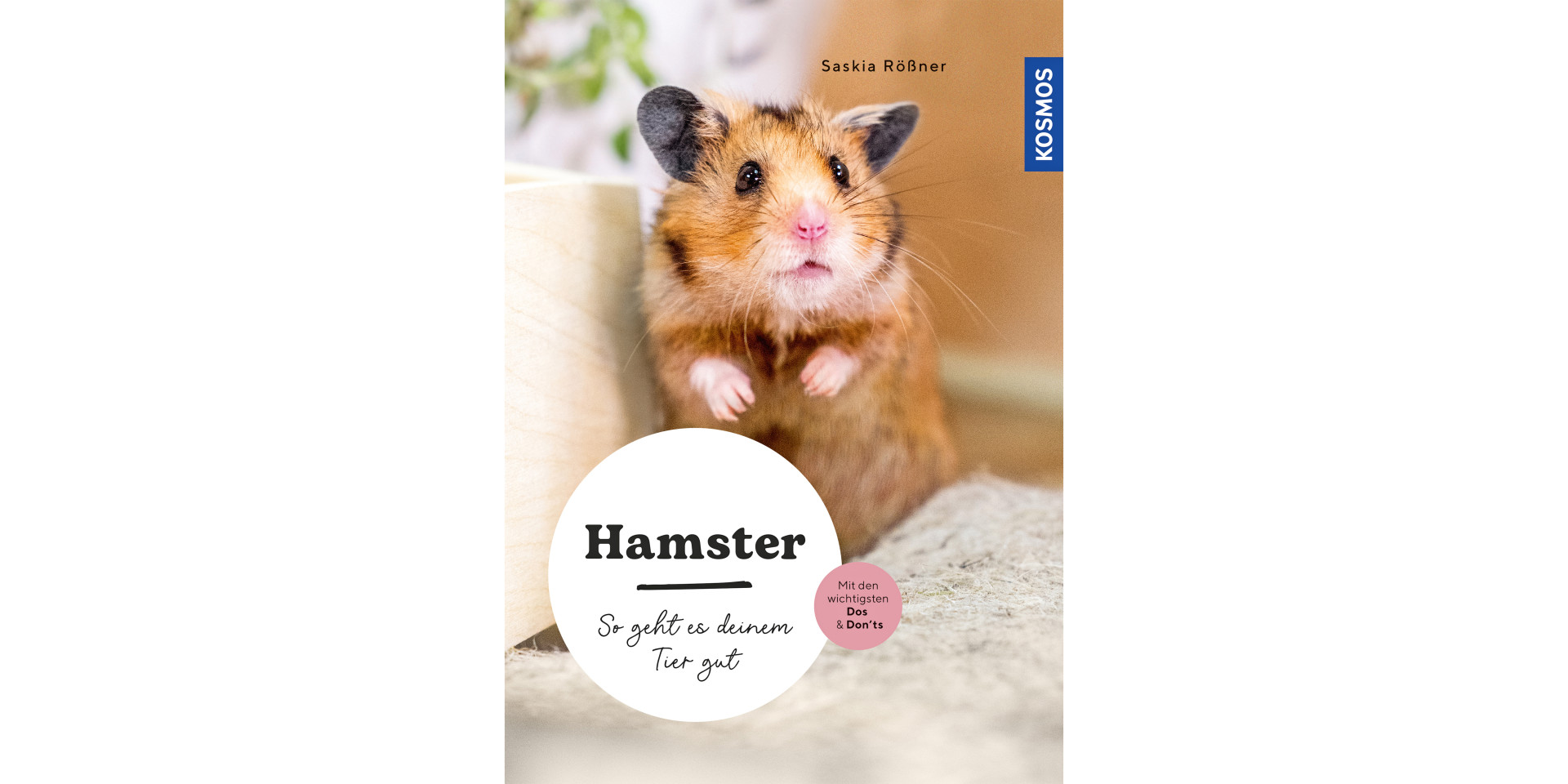 Hamster – So geht es dem Tier gut - pet-online